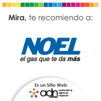 Distribuidora De Gas Noel Sa De Cv Gas Combustible en Guanaj