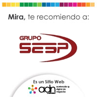 Grupo Sesp Sa De Cv Seguridad Sistemas De en Guanajuato, Leo